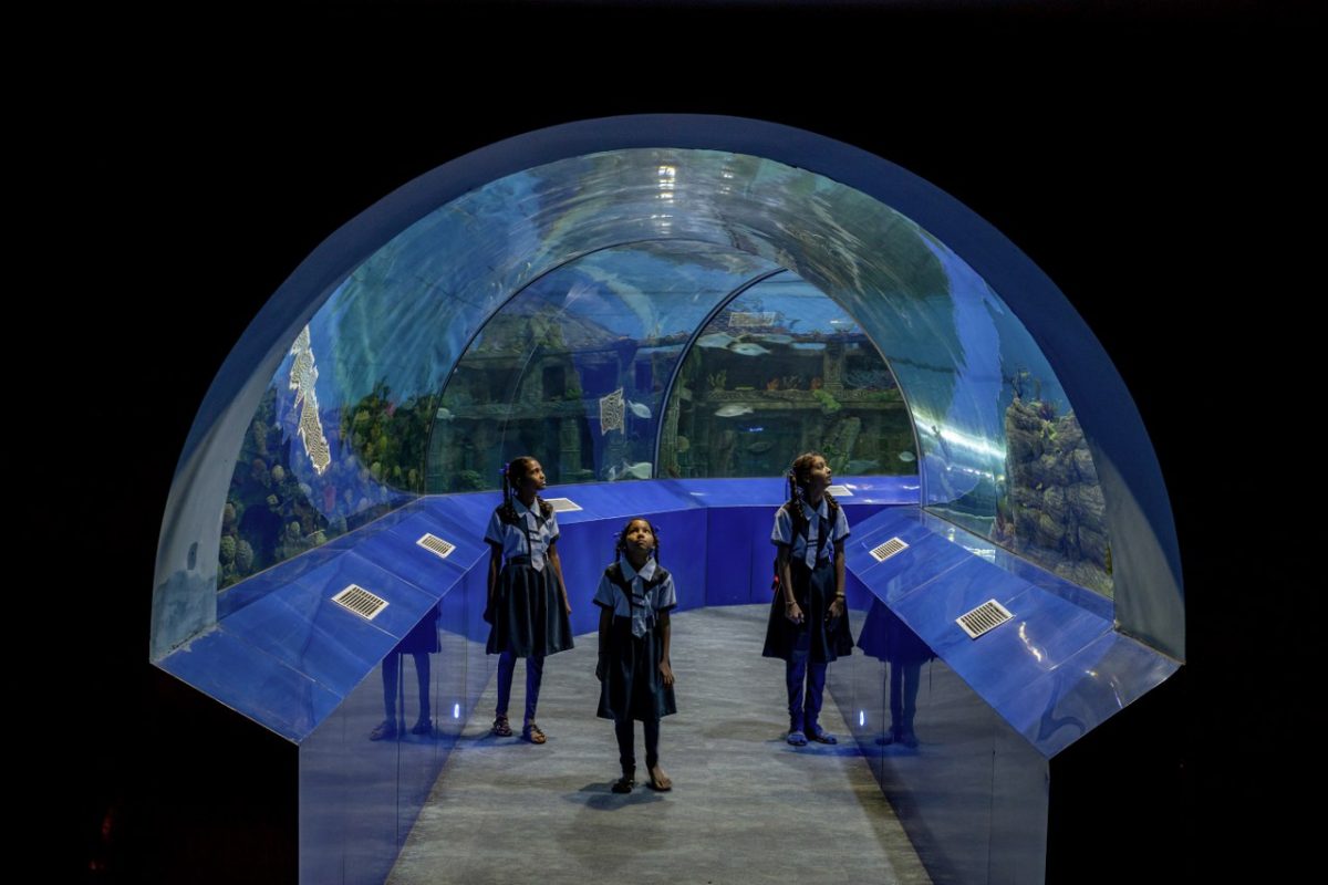 This Aquatic Gallery In Ahmedabad Science City Is A Gateway To Marine ...