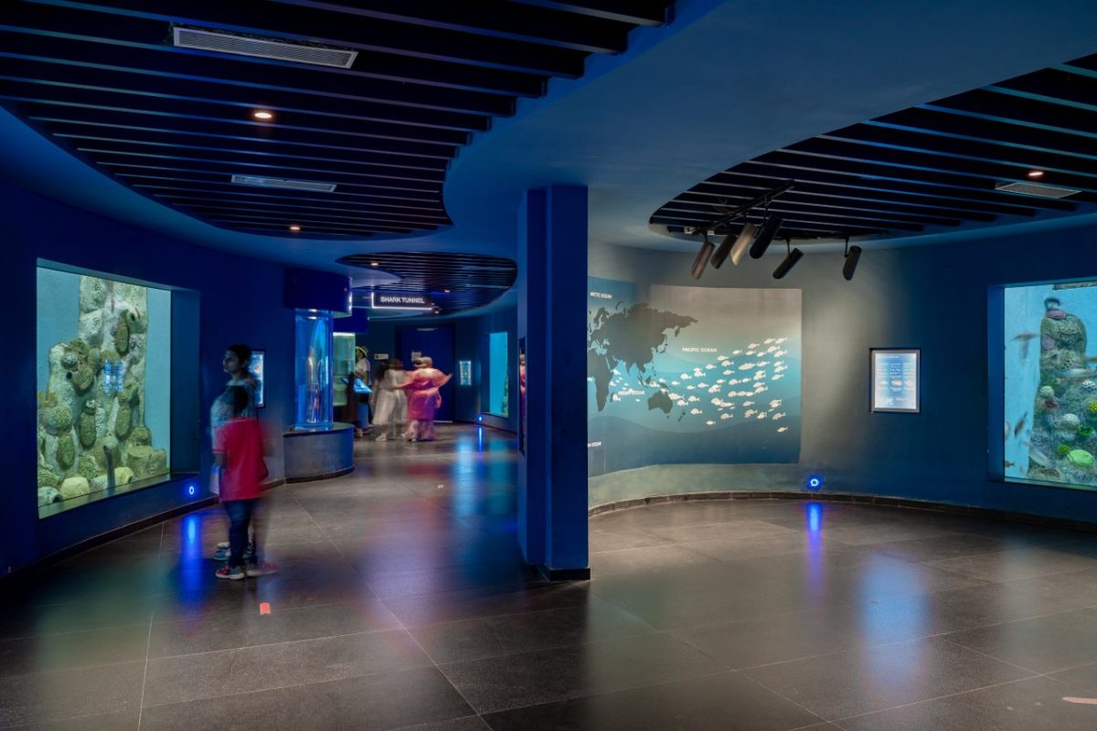 This Aquatic Gallery In Ahmedabad Science City Is A Gateway To Marine ...