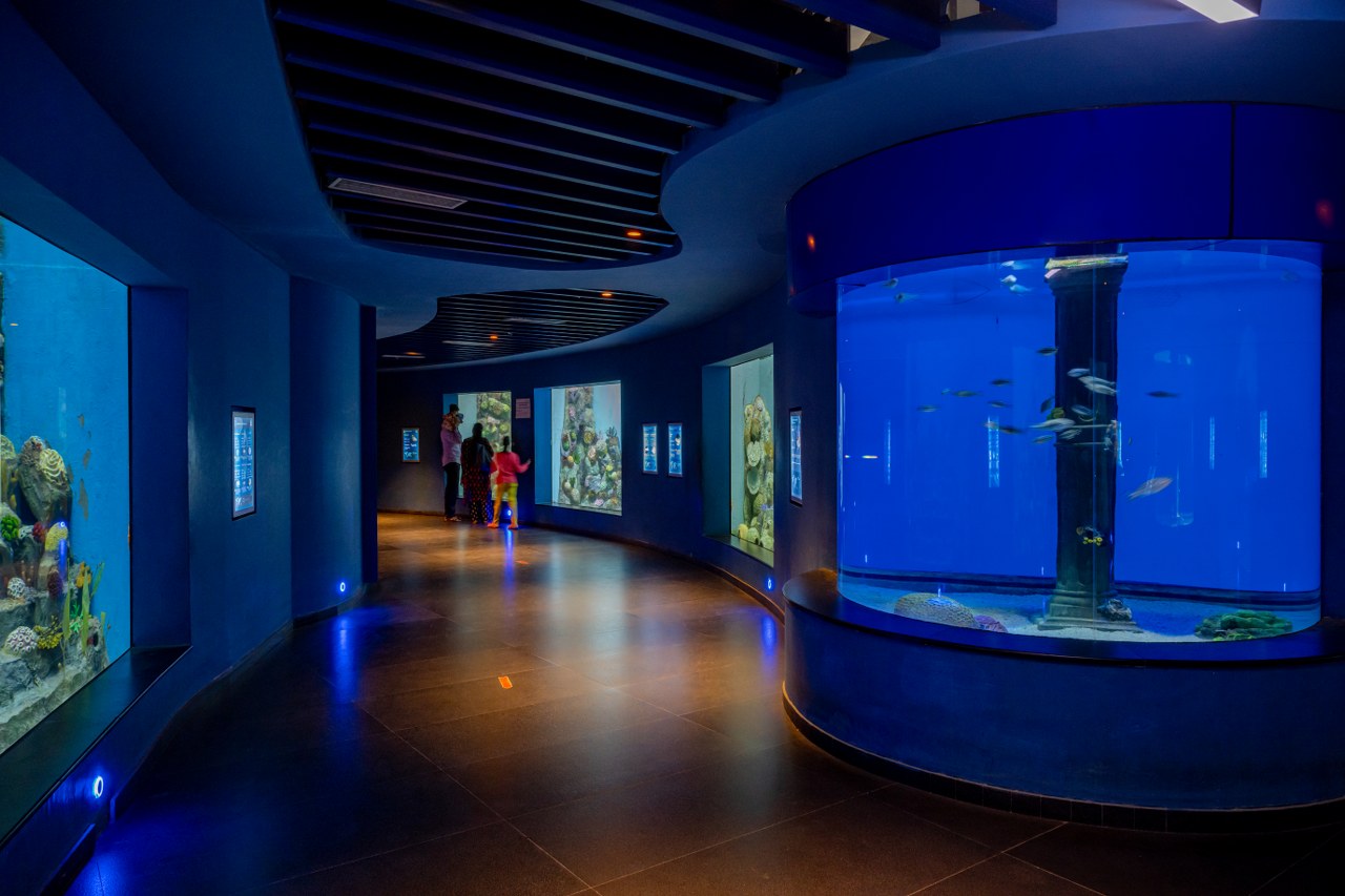 This Aquatic Gallery In Ahmedabad Science City Is A Gateway To Marine ...