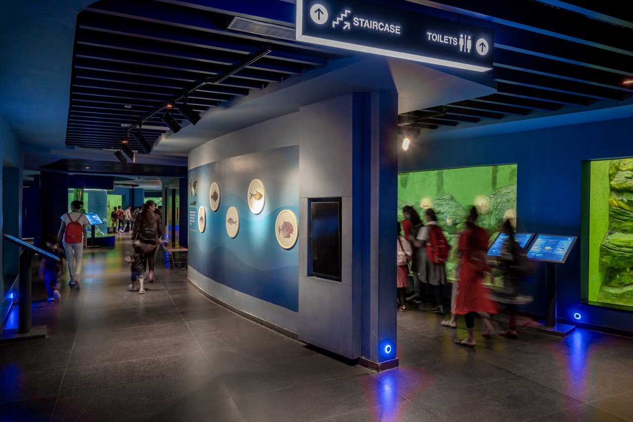 This Aquatic Gallery In Ahmedabad Science City Is A Gateway To Marine ...