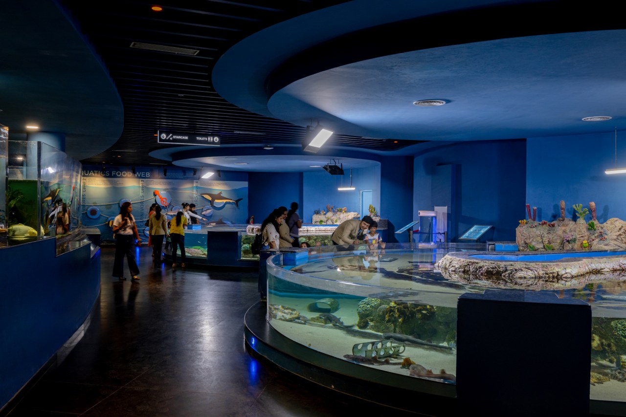 This Aquatic Gallery In Ahmedabad Science City Is A Gateway To Marine ...