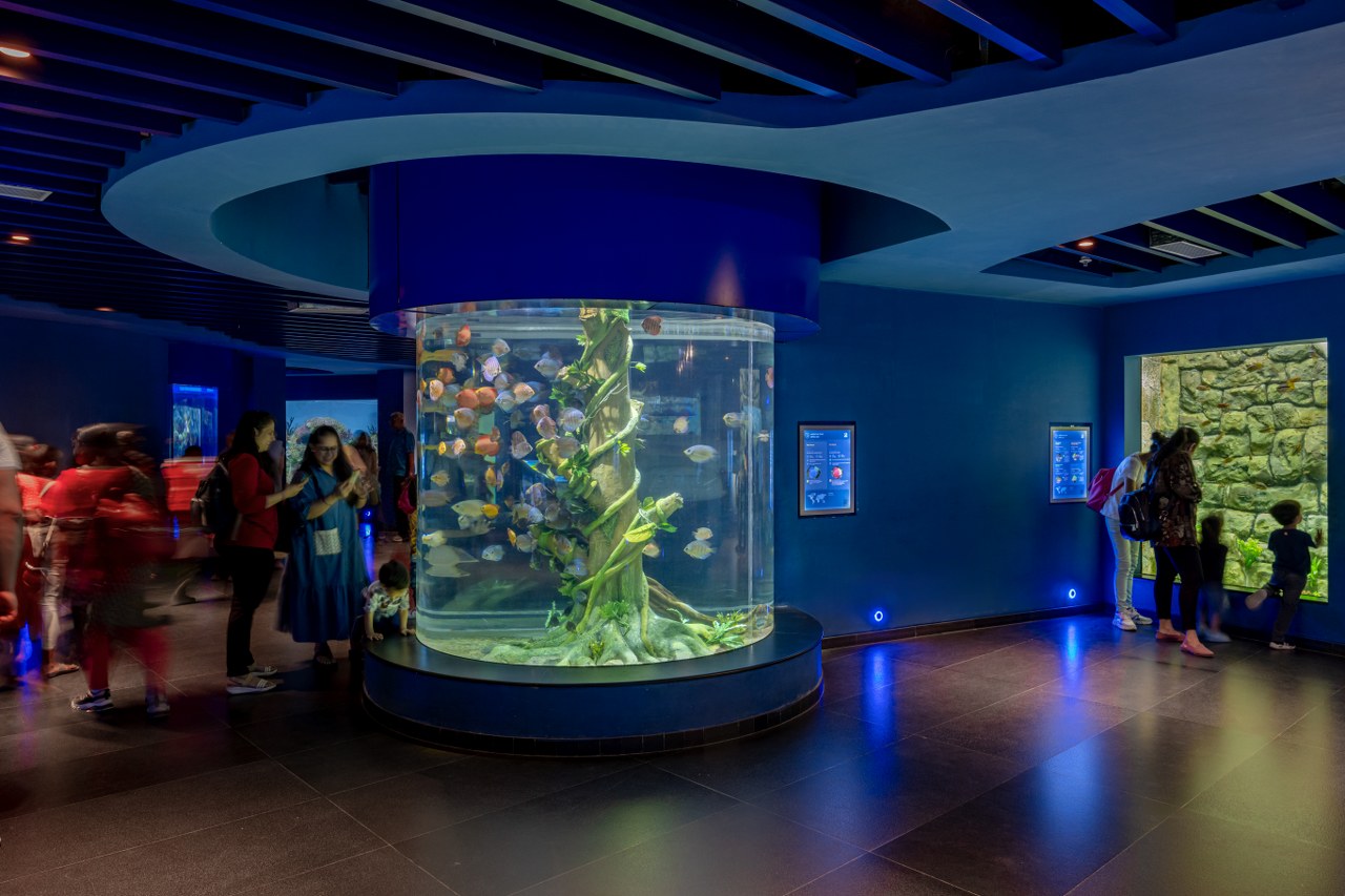 This Aquatic Gallery In Ahmedabad Science City Is A Gateway To Marine ...