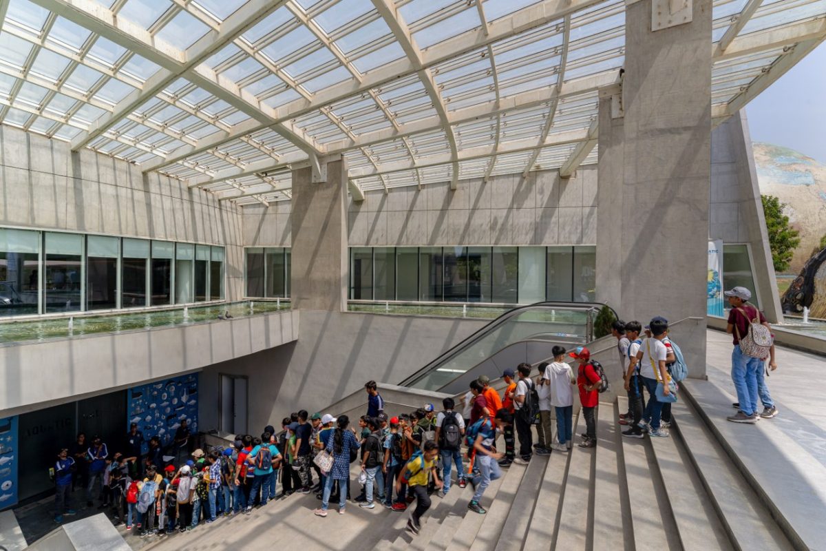 This Aquatic Gallery In Ahmedabad Science City Is A Gateway To Marine ...