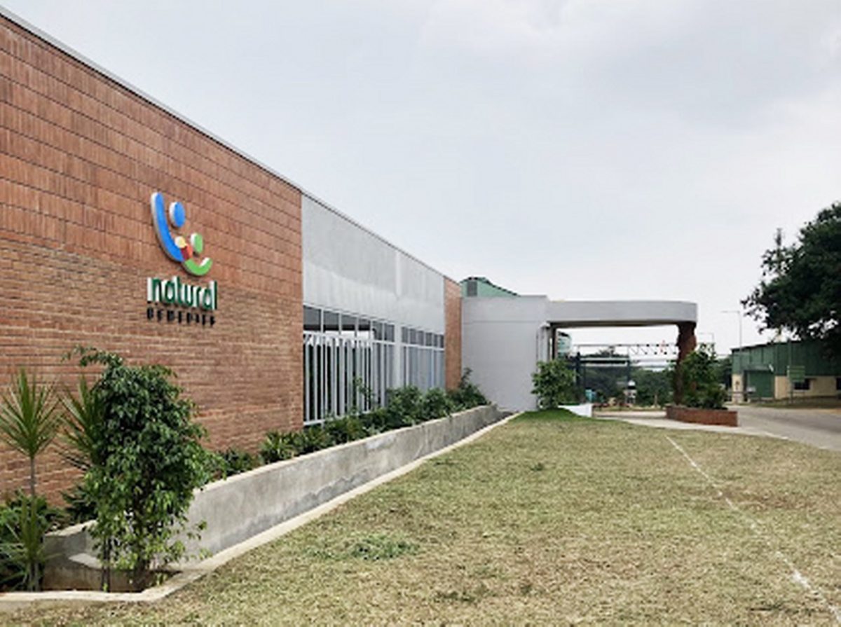 This Eco-friendly Building Sets A New Benchmark In Sustainable ...