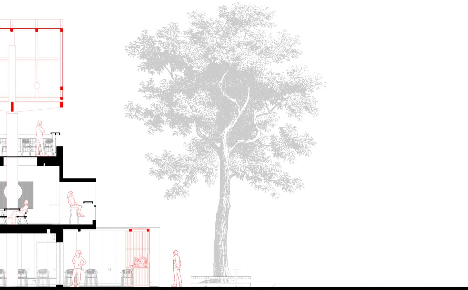 A Glass Roof Design Brings Light And Openness To A 40-year-old ...