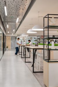 Luxury Office Design Meets Minimalist Sophistication At Tarz ...