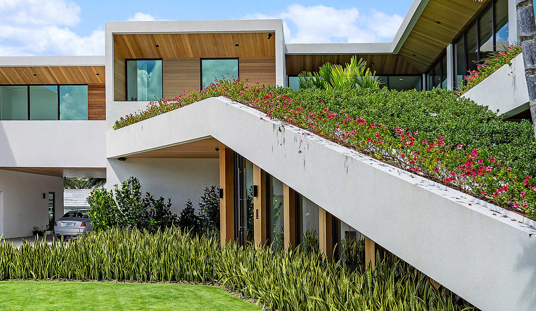 Why Green Roofs: Everything You Should Know