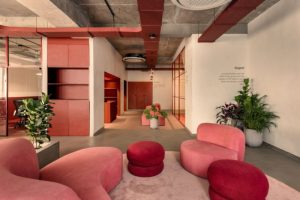 The Color of Office Fosters Creativity and Unity At Cricheroes ...