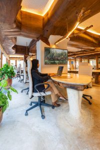 This Sustainable Workplace Encourages The Seamless Flow of Ideas and ...