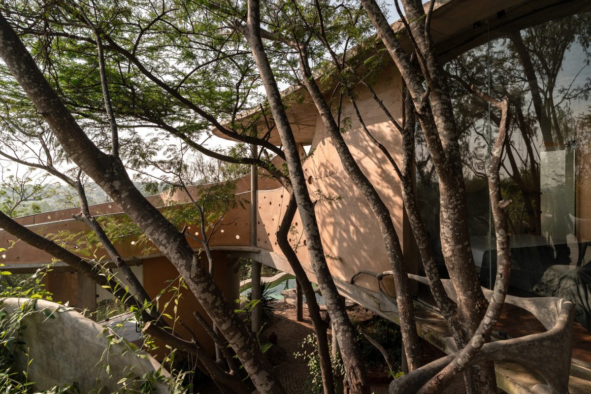 This Organic House Rolls into the Vibrant Green Landscape Naturally ...