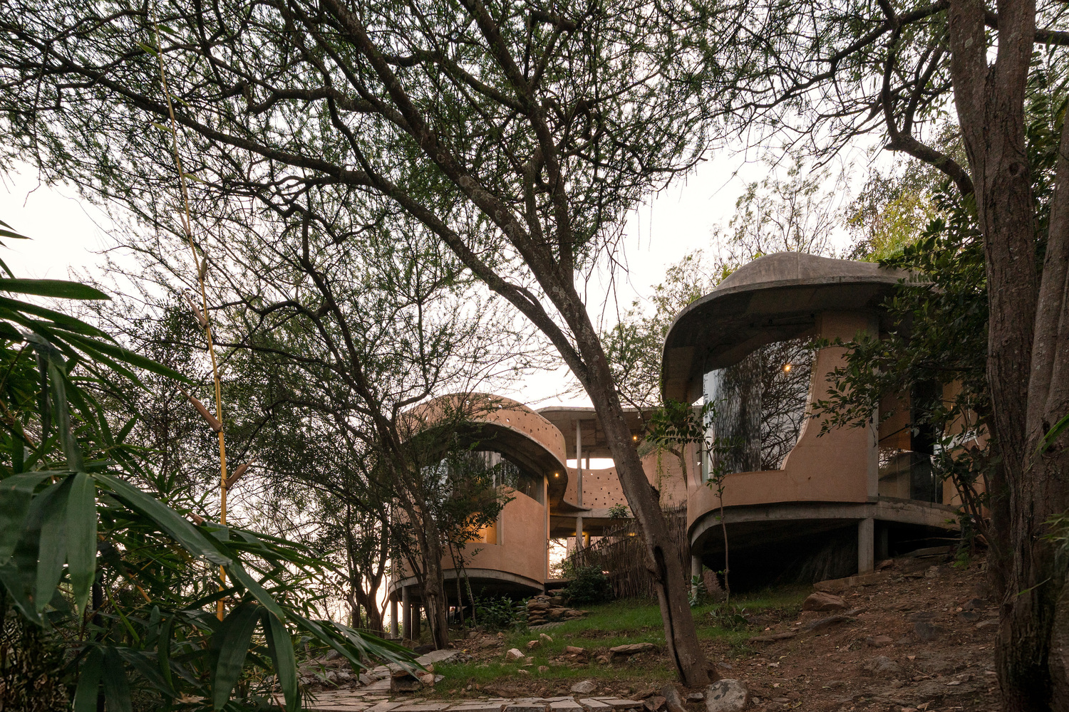 This Organic House Rolls into the Vibrant Green Landscape Naturally ...