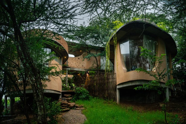 This Organic House Rolls into the Vibrant Green Landscape Naturally ...