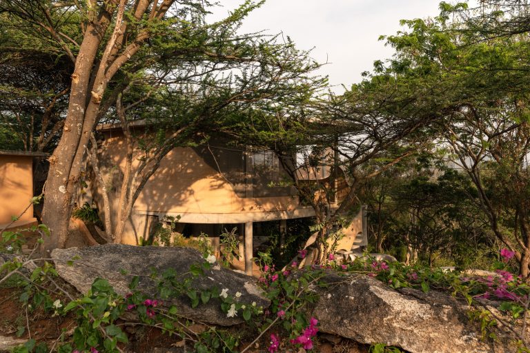 This Organic House Rolls into the Vibrant Green Landscape Naturally ...