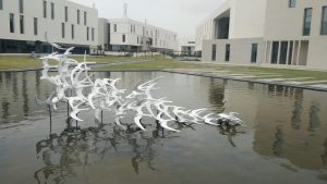 TCS Indore Sets a New Benchmark in Sustainable Campus Design | Somaya ...