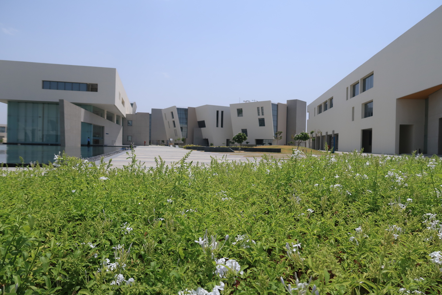 TCS Indore Sets a New Benchmark in Sustainable Campus Design | Somaya ...