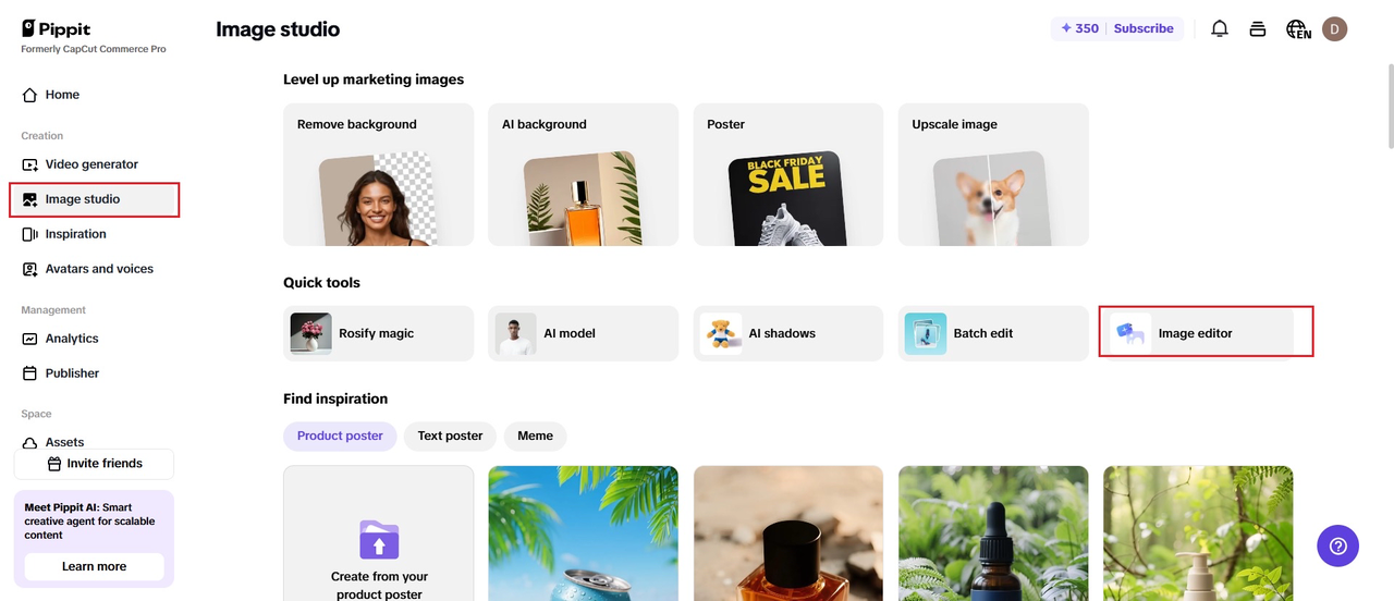 Bending Words to Your Will: How Curved Text is Reshaping Visual Branding