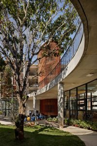 With Organic Building Morphology, This School Breaks Conventional ...