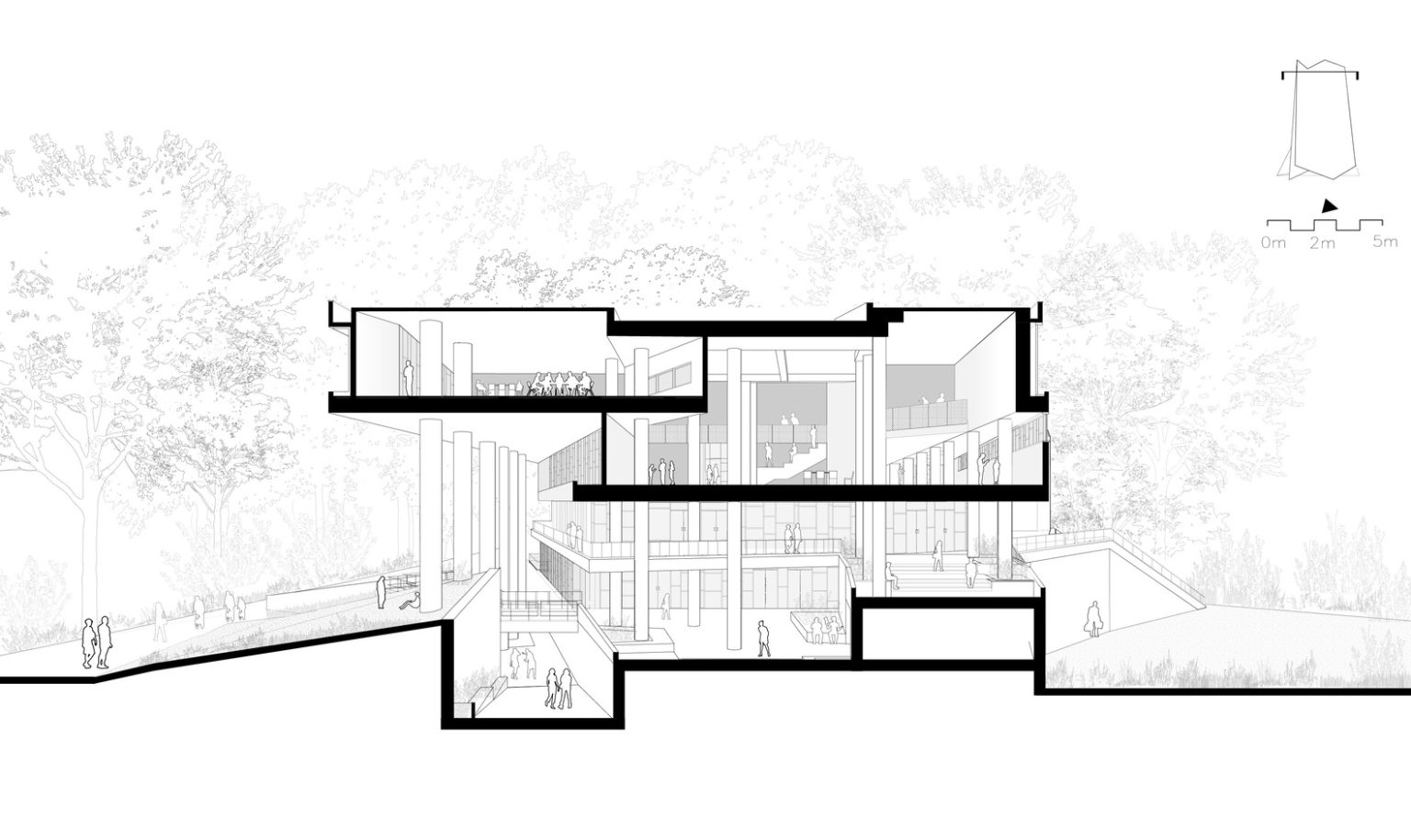Campus Library: A Sanctuary of Knowledge and Design | Cadence ...