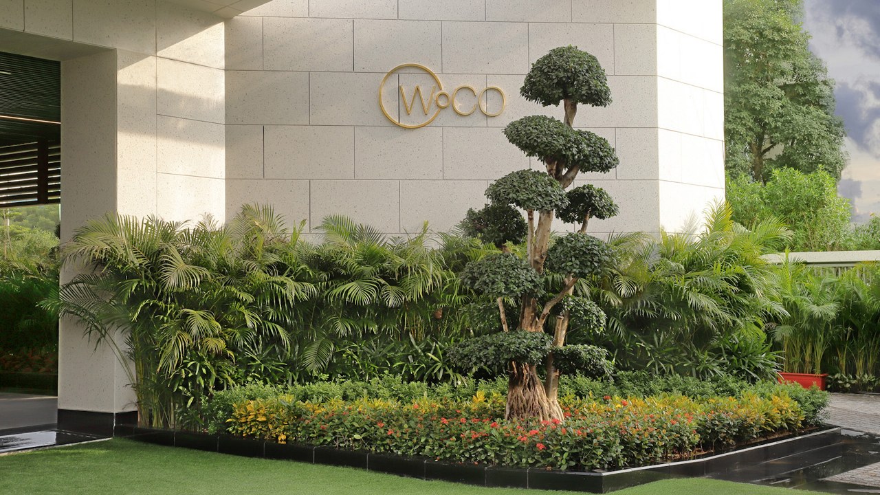 The Wellbeing Of The Workforce Is The Priority In The WoCo Office ...