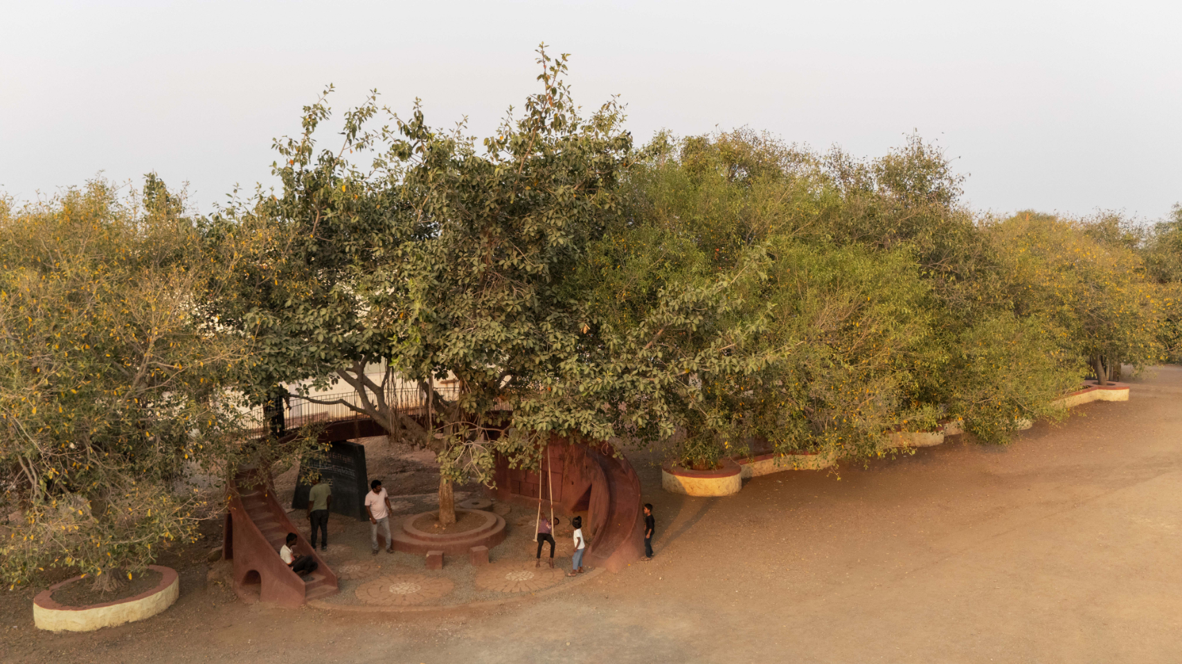 Thoughtfully Designed Around An Existing Banyan Tree, This Community ...