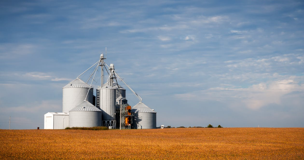 The Farmer’s Guide to Steel Silos: Grain Storage, Feed, and Harvest ...