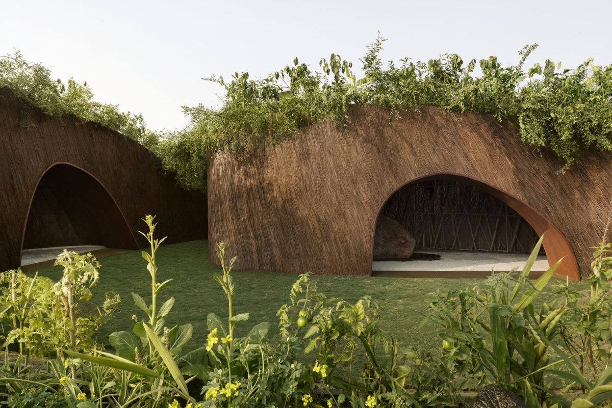 The Art of Connection to Nature Pavilion | Tara Lal + T_M.space